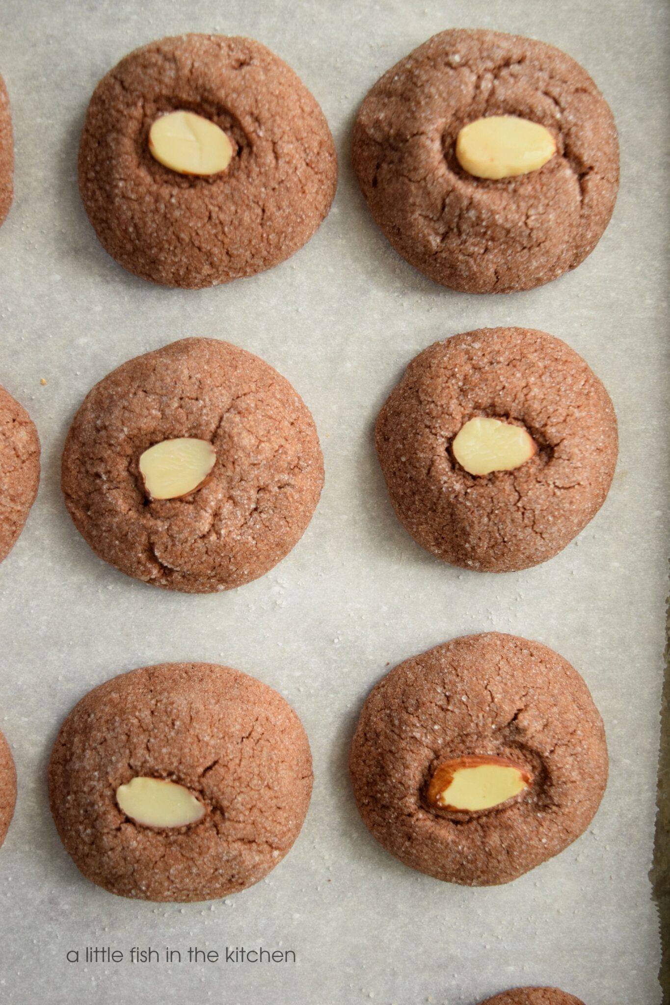 Chocolate-Almond Cookies (Recipe + Video) – A Little Fish in the Kitchen