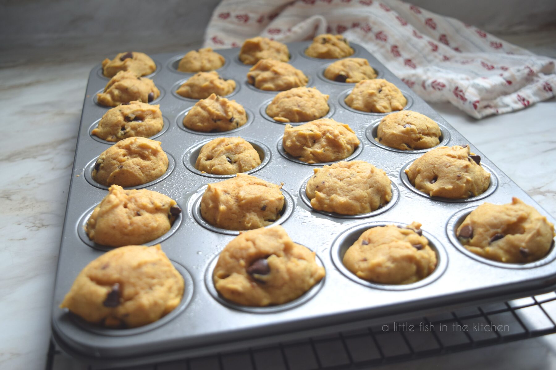 Mini Pumpkin Chocolate Chip Muffins (Recipe + Video) – A Little Fish in ...
