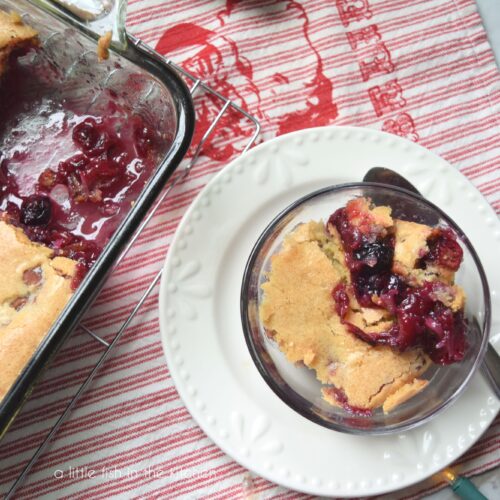 Easy Tomato Chutney (Recipe + Video) – A Little Fish in the Kitchen