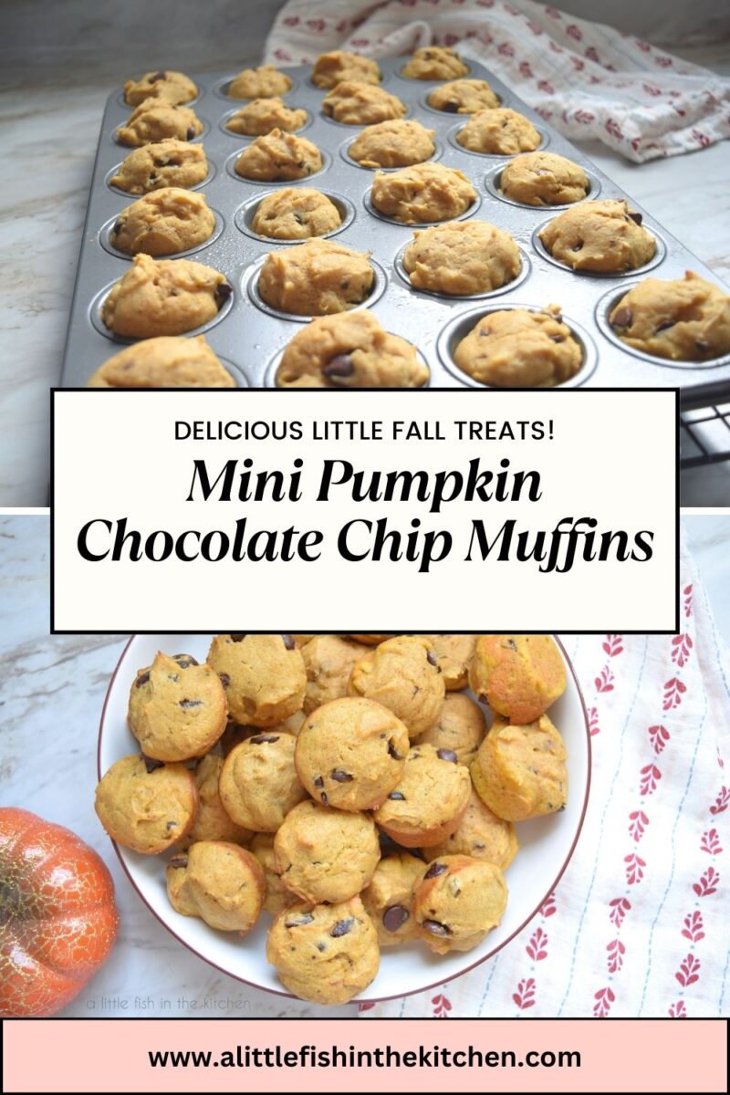 Mini Pumpkin Chocolate Chip Muffins (Recipe + Video) – A Little Fish in ...