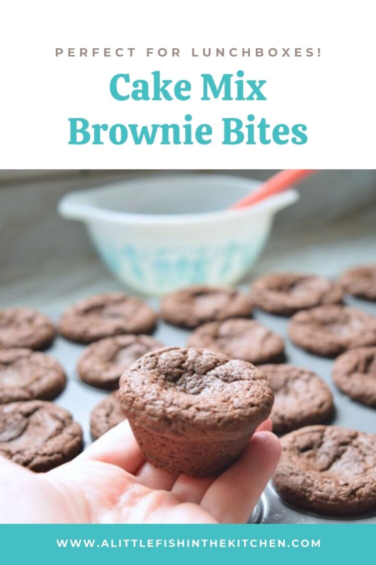 Cake Mix Brownie Bites (Recipe + Video) – A Little Fish in the Kitchen