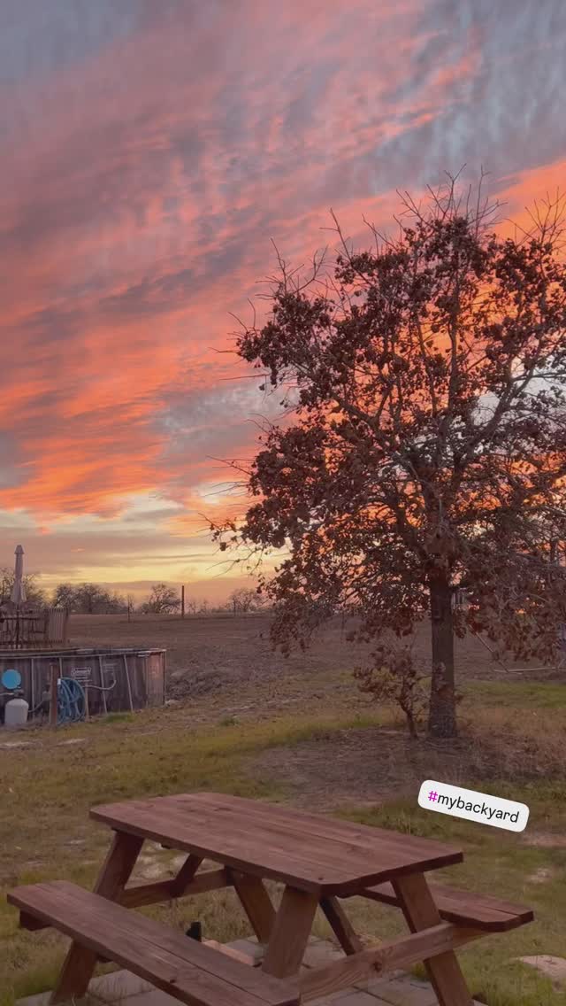 Easy Ground Turkey Stroganoff (Recipe + Video) – A Little Fish in the ...